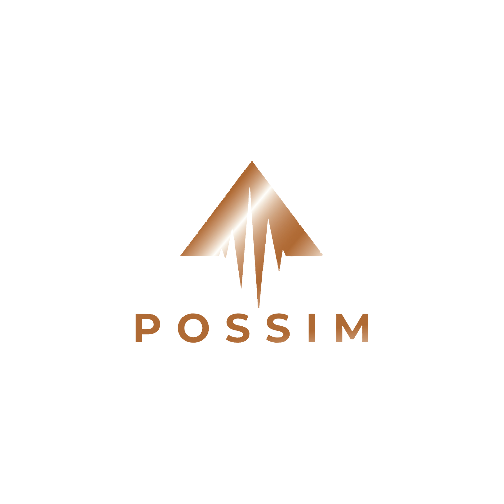 POSSIM SUPPLEMENT – POSSIM Supplement